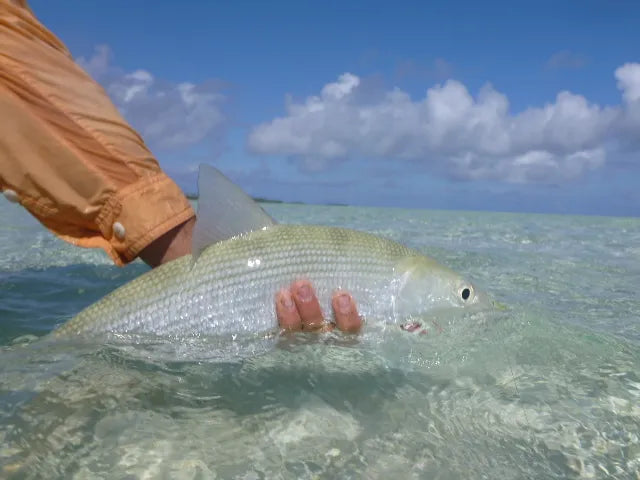 Bonefish Flies