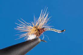 Midges